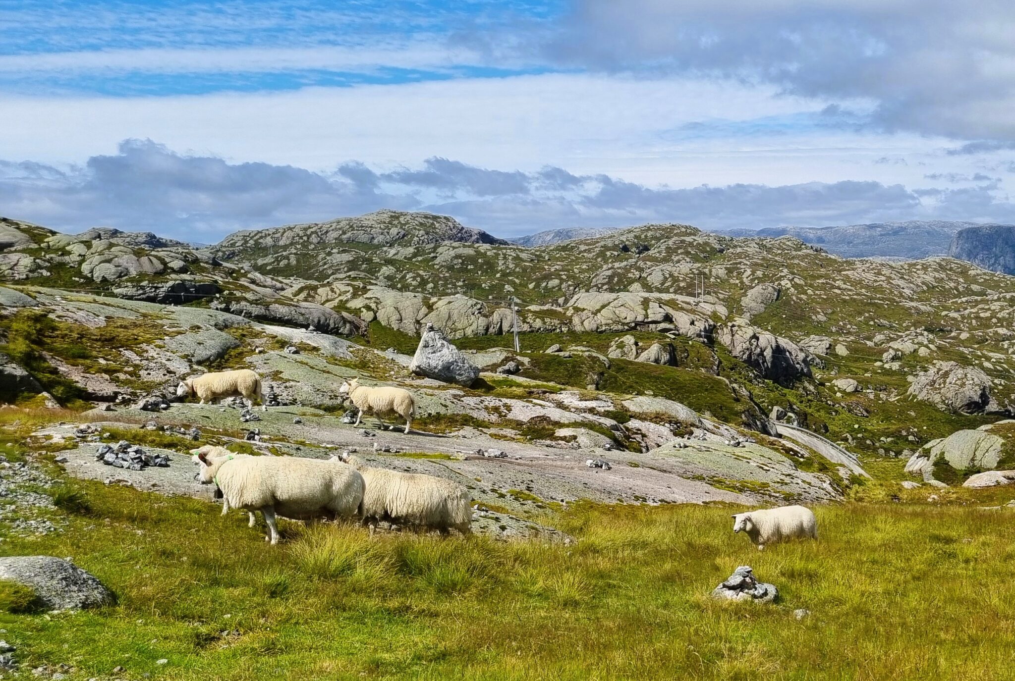 Lysebotn Road Trip: Driving the Lyseveien Scenic Road to Lysefjord ...